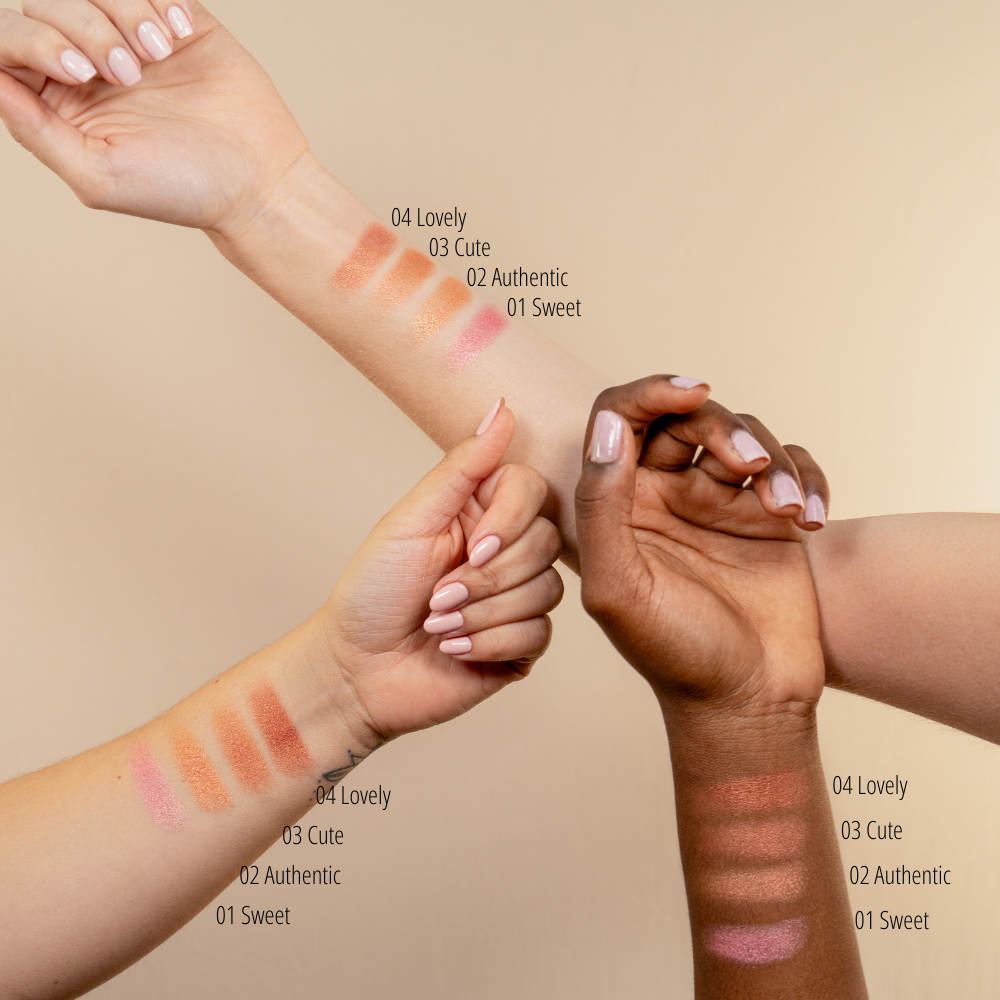 RUBOR MINERALIZADO – Ani-k Makeup